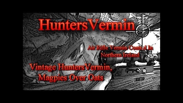 Air Rifle Hunting, Vintage HuntersVermin Magpies Over Oats Nov 2011 ...