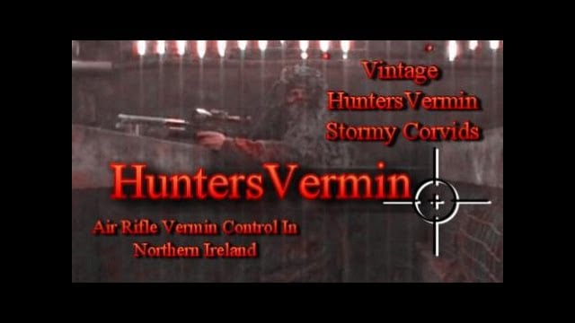 Vintage HuntersVermin Stormy Corvids - Airgun101