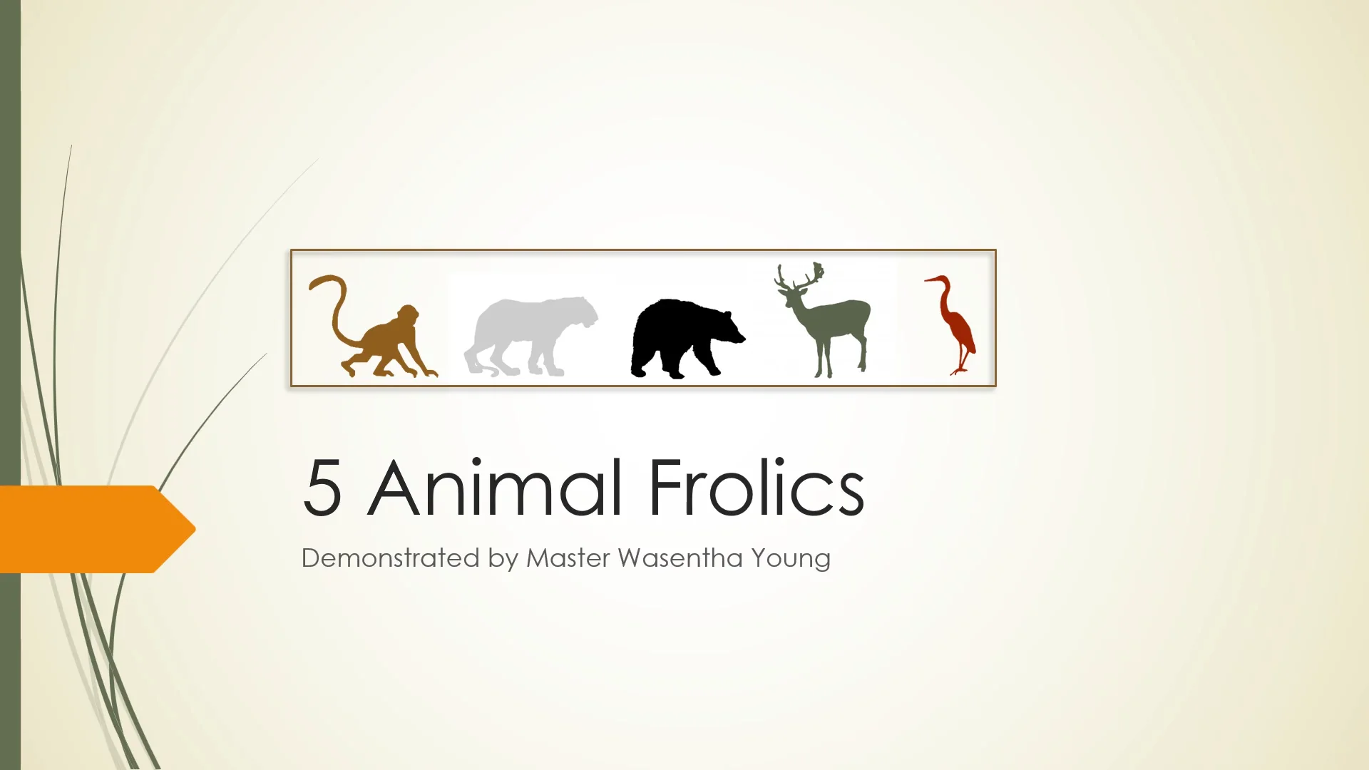 Watch 5 Animal Frolics Online | Vimeo On Demand on Vimeo