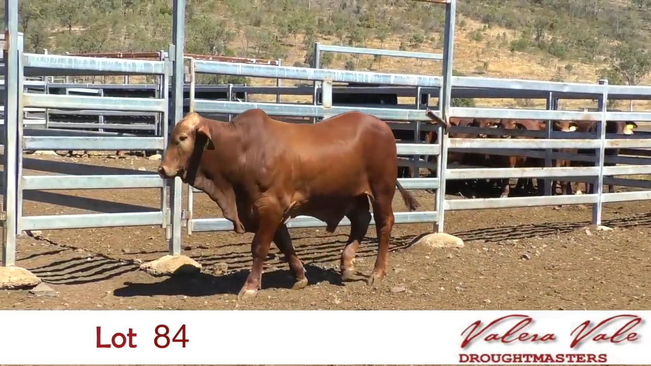 Valera Vale 2019 Lot 84 on Vimeo