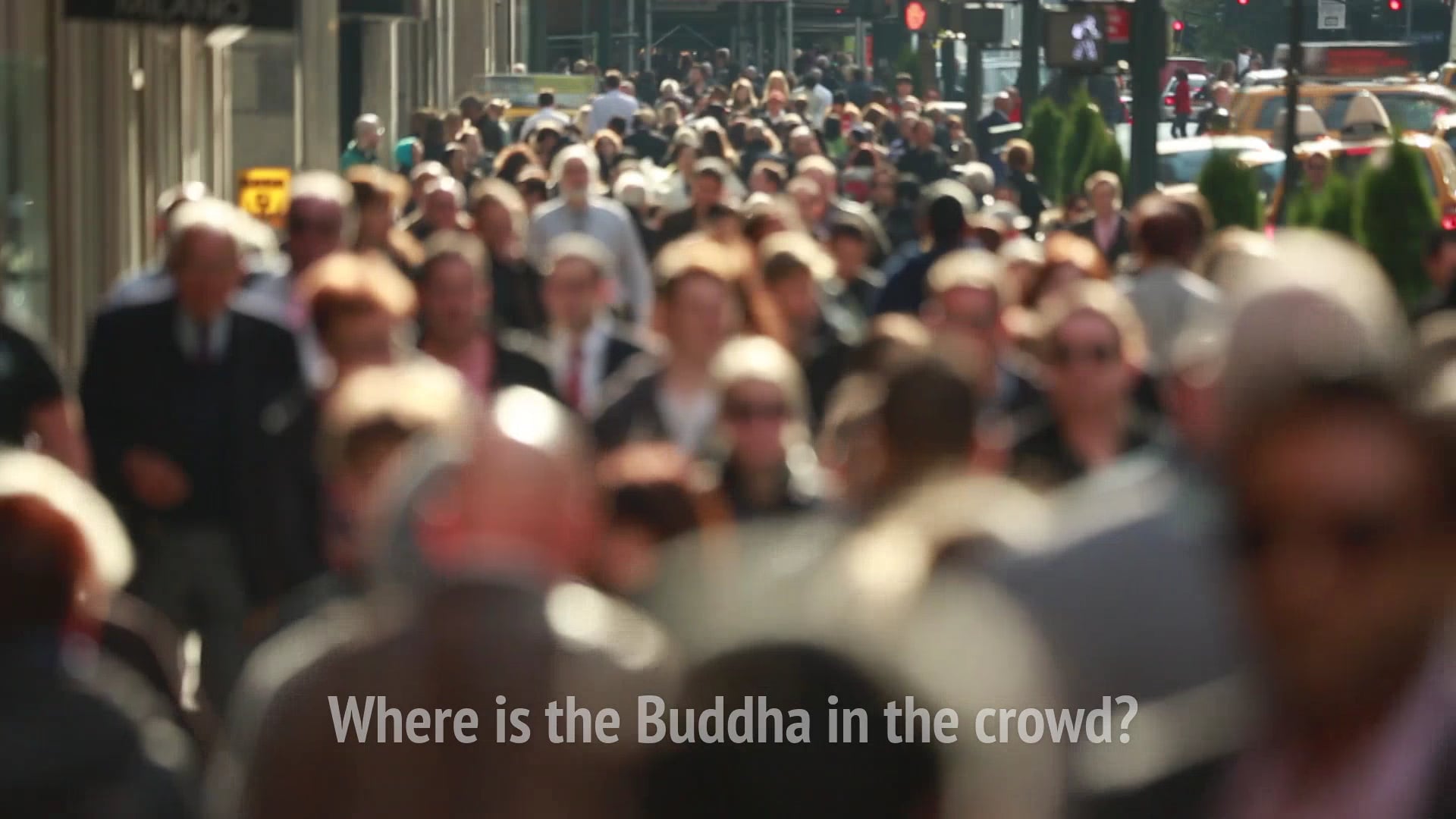 PROFILE/VIDEO ESSAY: Signs of a Rebel Buddha - Teaser on Vimeo