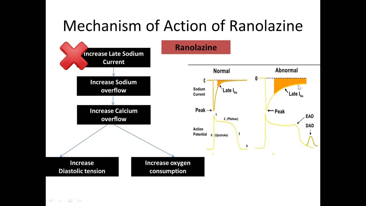 Mechanism of Action of Ranolazine on Vimeo