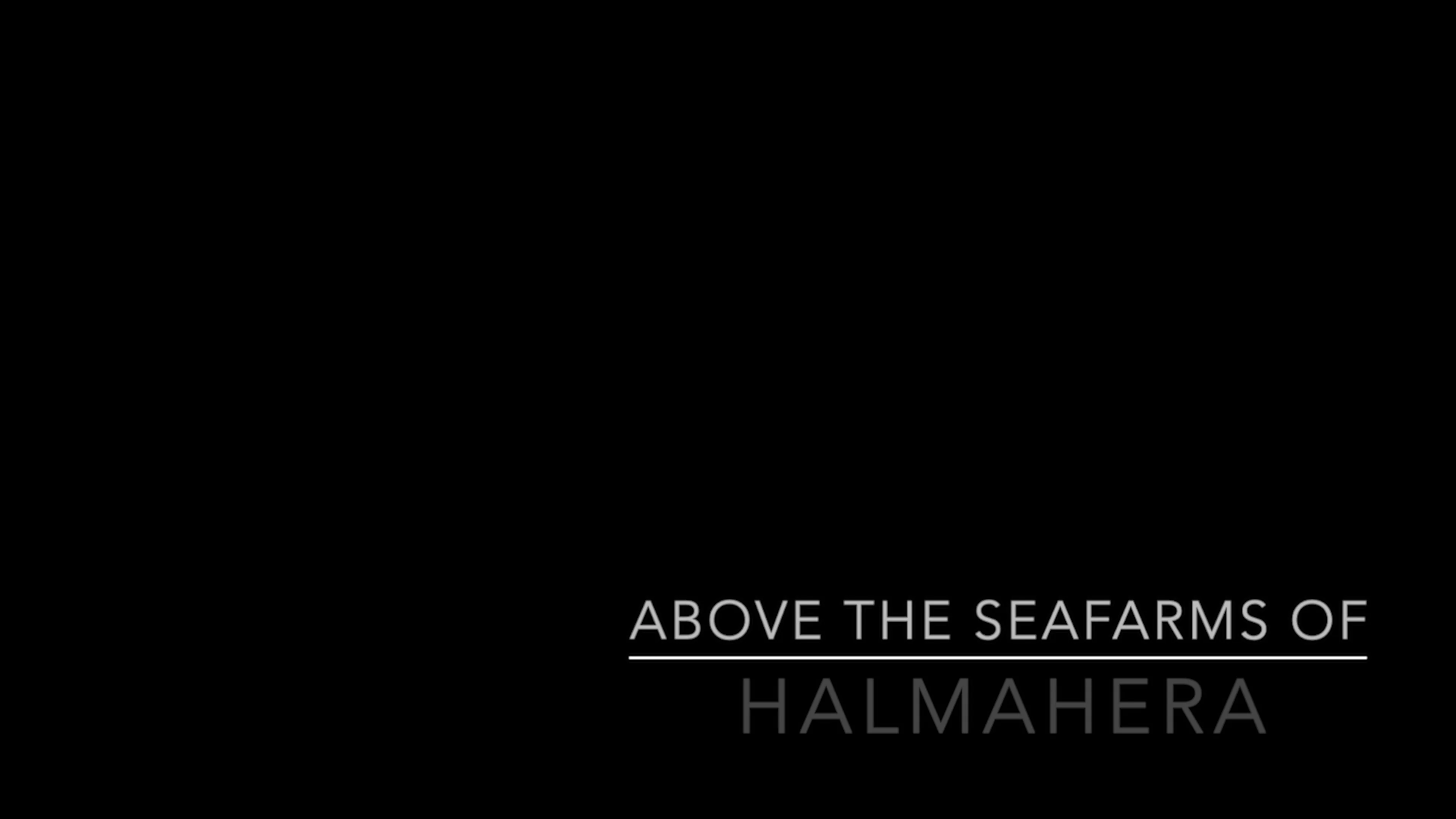 Seaweed farming in remote Halmahera on Vimeo