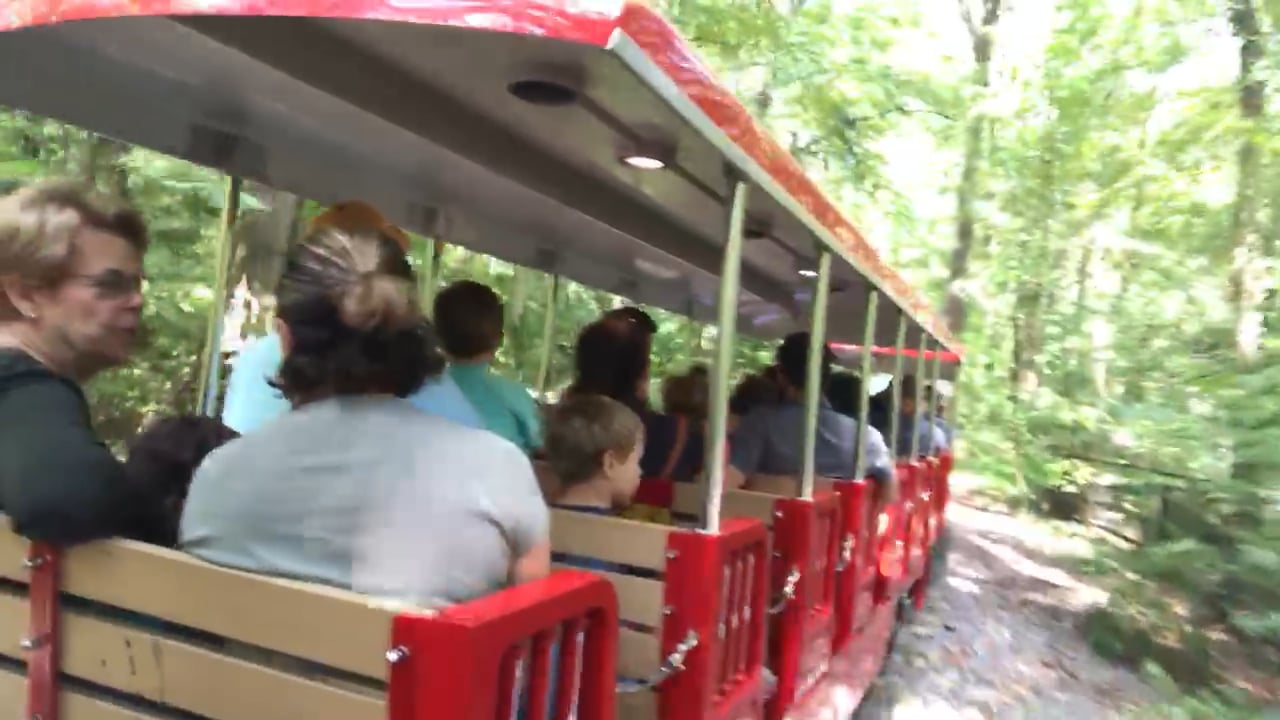 Cabin John Train Ride on Vimeo