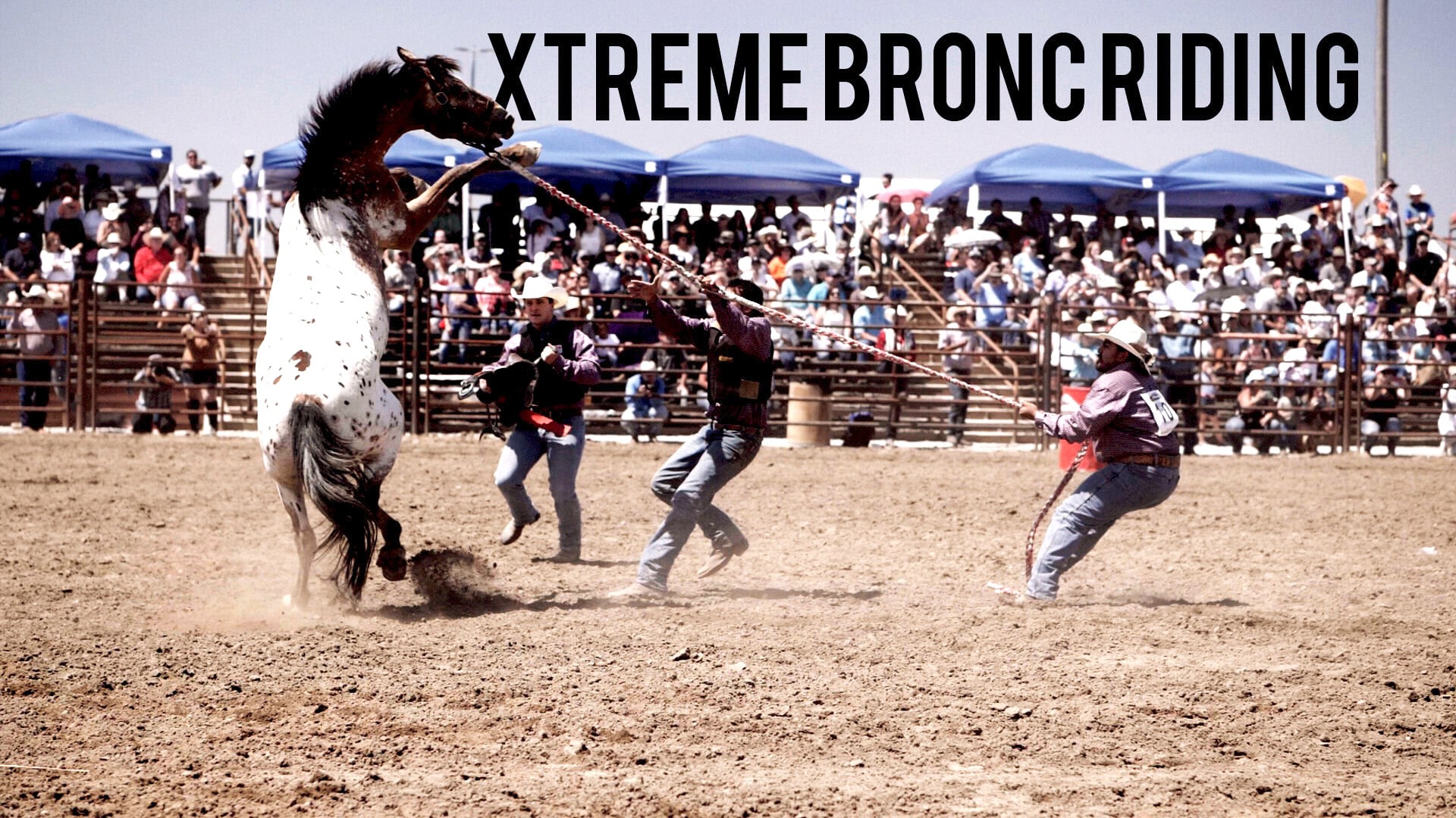 Xtreme Bronc Riding on Vimeo