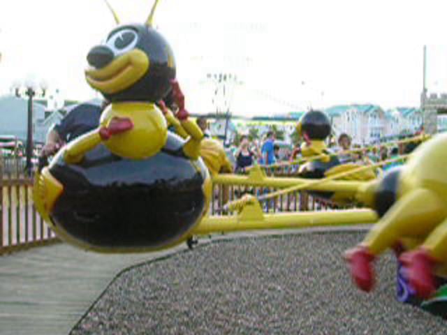 Bumble Bee Ride Part 1 on Vimeo