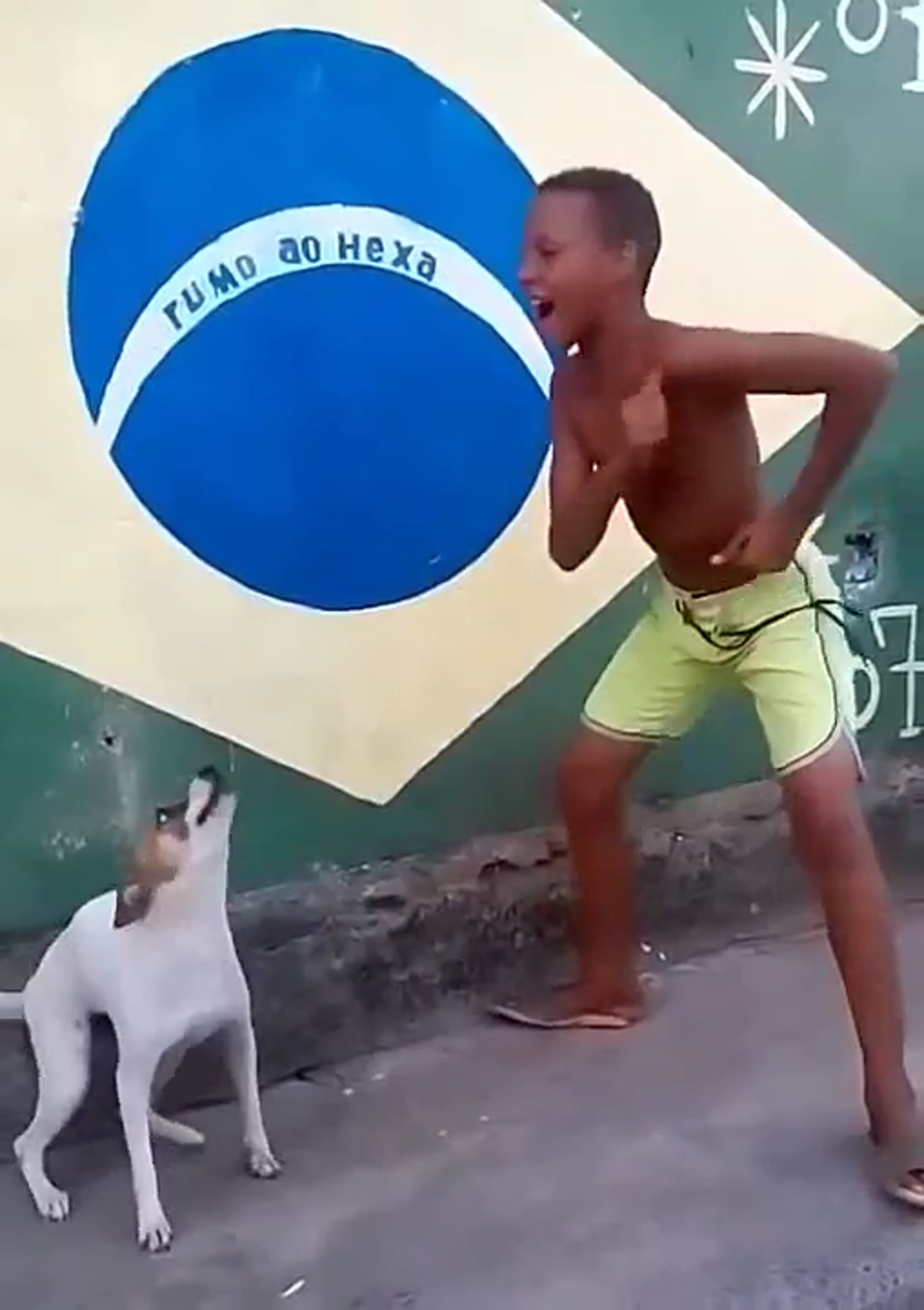 Perro bailando samba con niño brasileño