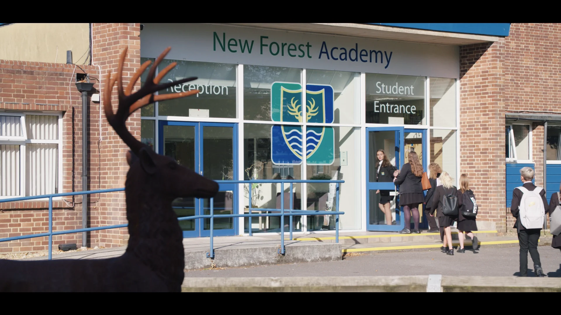 New Forest Academy