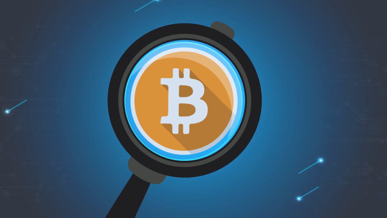 Portfolio - Transpixelstudio