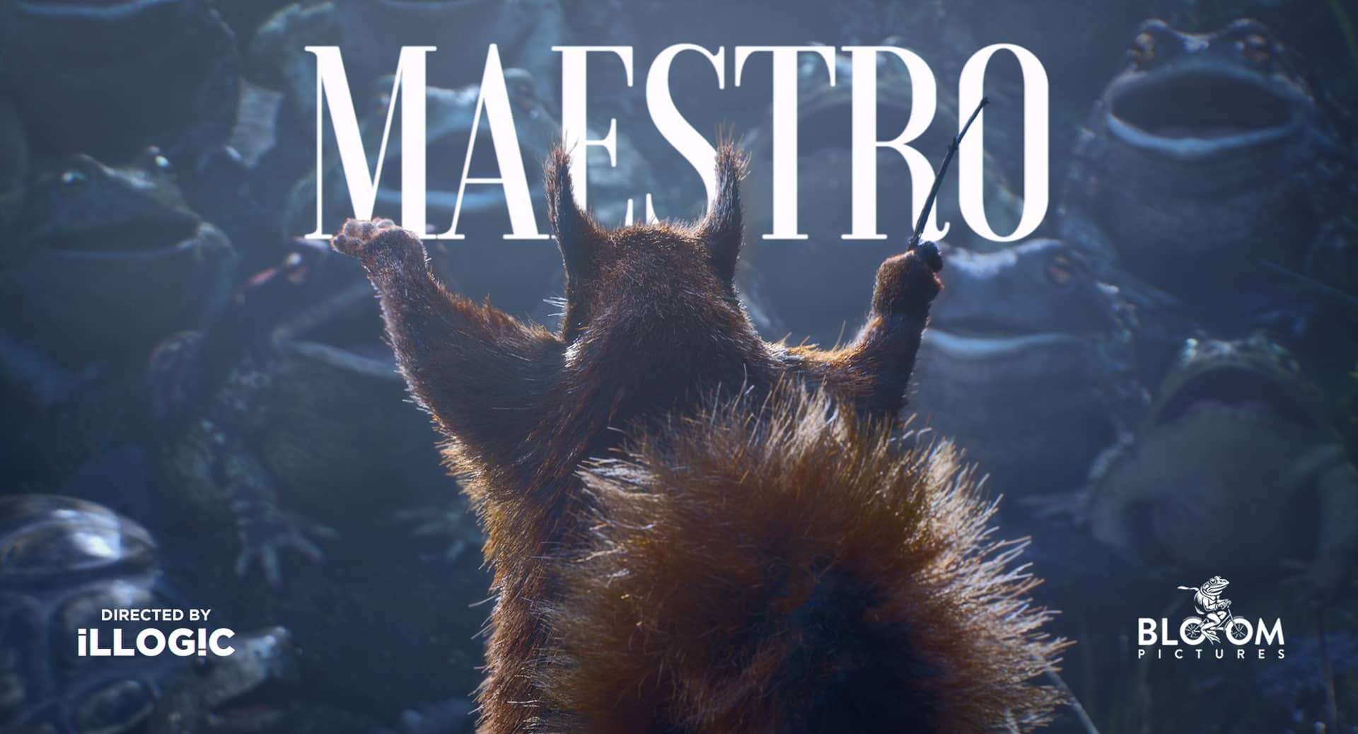 Maestro on Vimeo