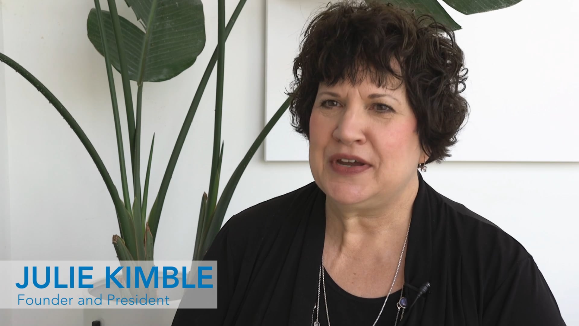 Meet the KimbleCo Team: Julie Kimble on Vimeo