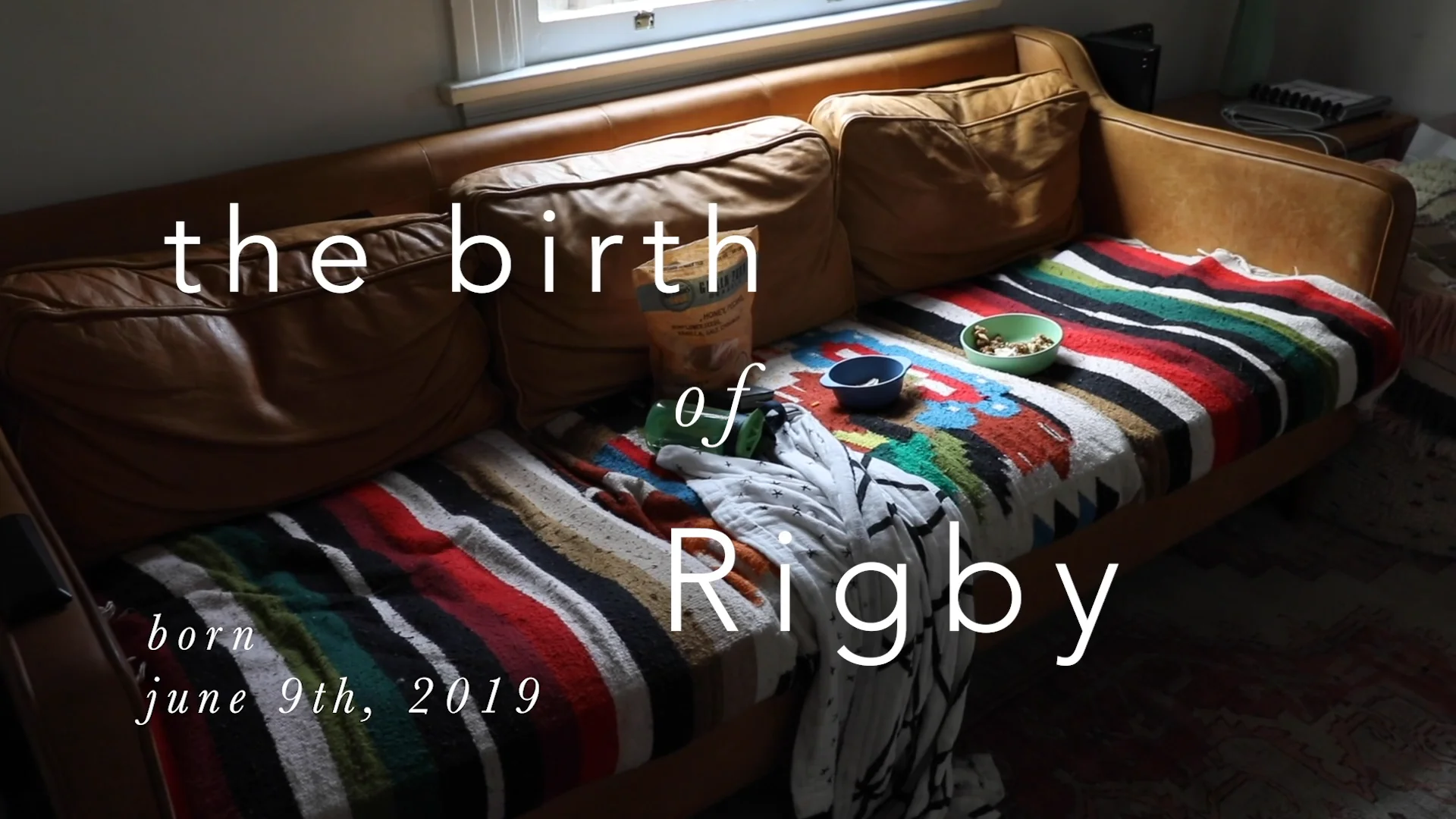 The Birth Of Rigby