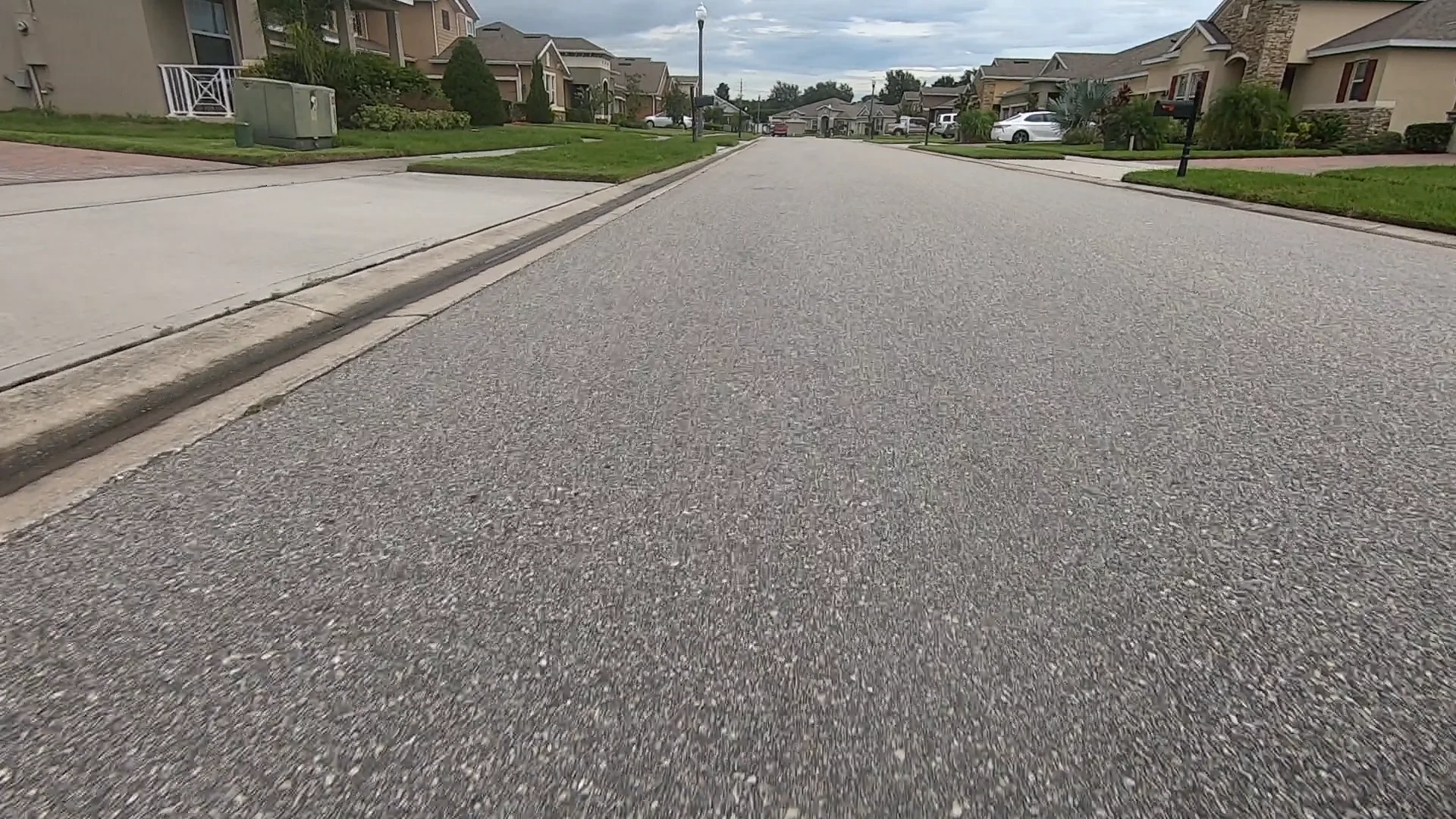 ALLIGATOR STREET_6 on Vimeo
