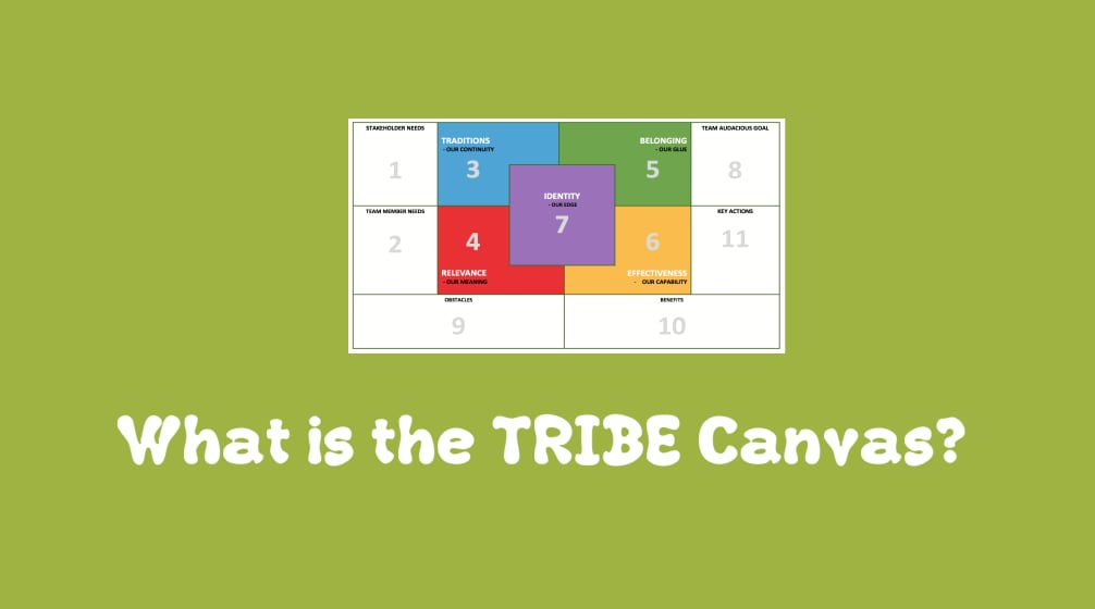 Intro to TRIBE Canvas 2 on Vimeo