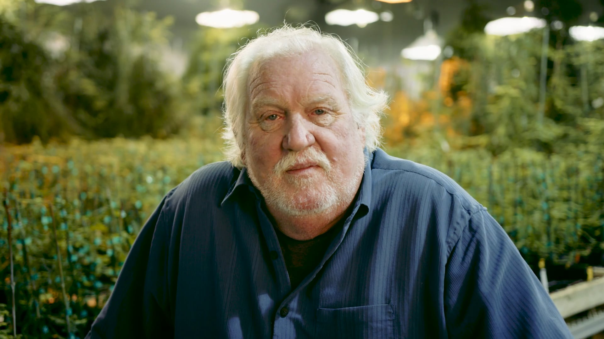 David Milarch - Dubai Coffee House on Vimeo