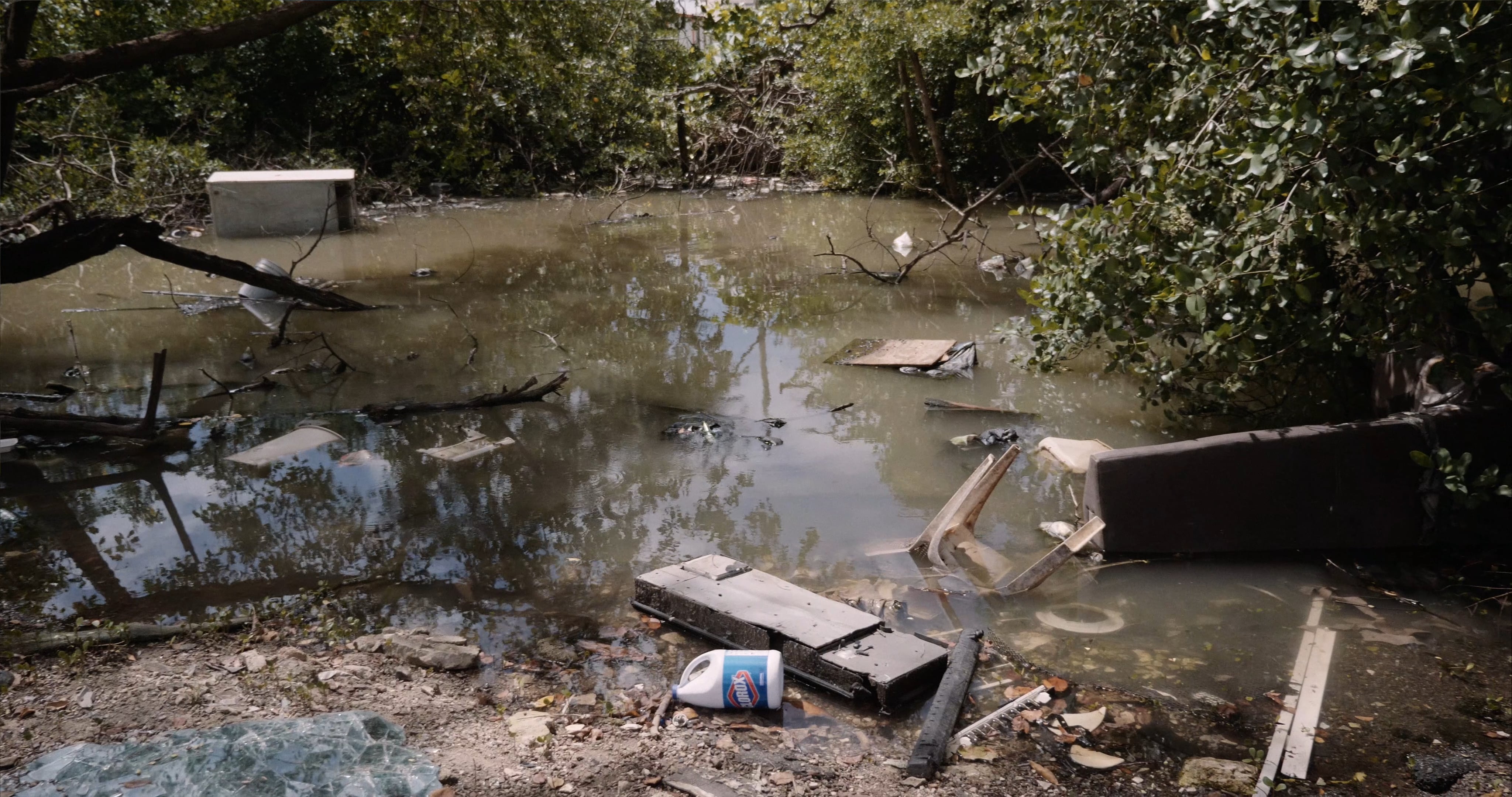 Common Path / Sendero Común - HF-Enlace on Vimeo