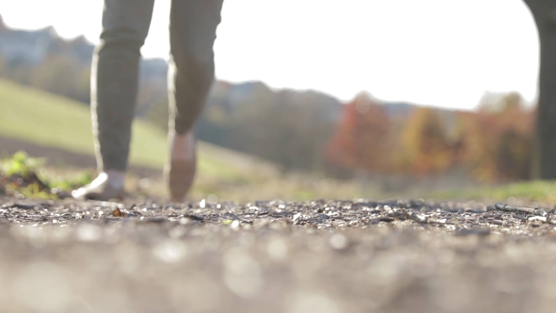 Alpha Promo Story Sept 2019 on Vimeo