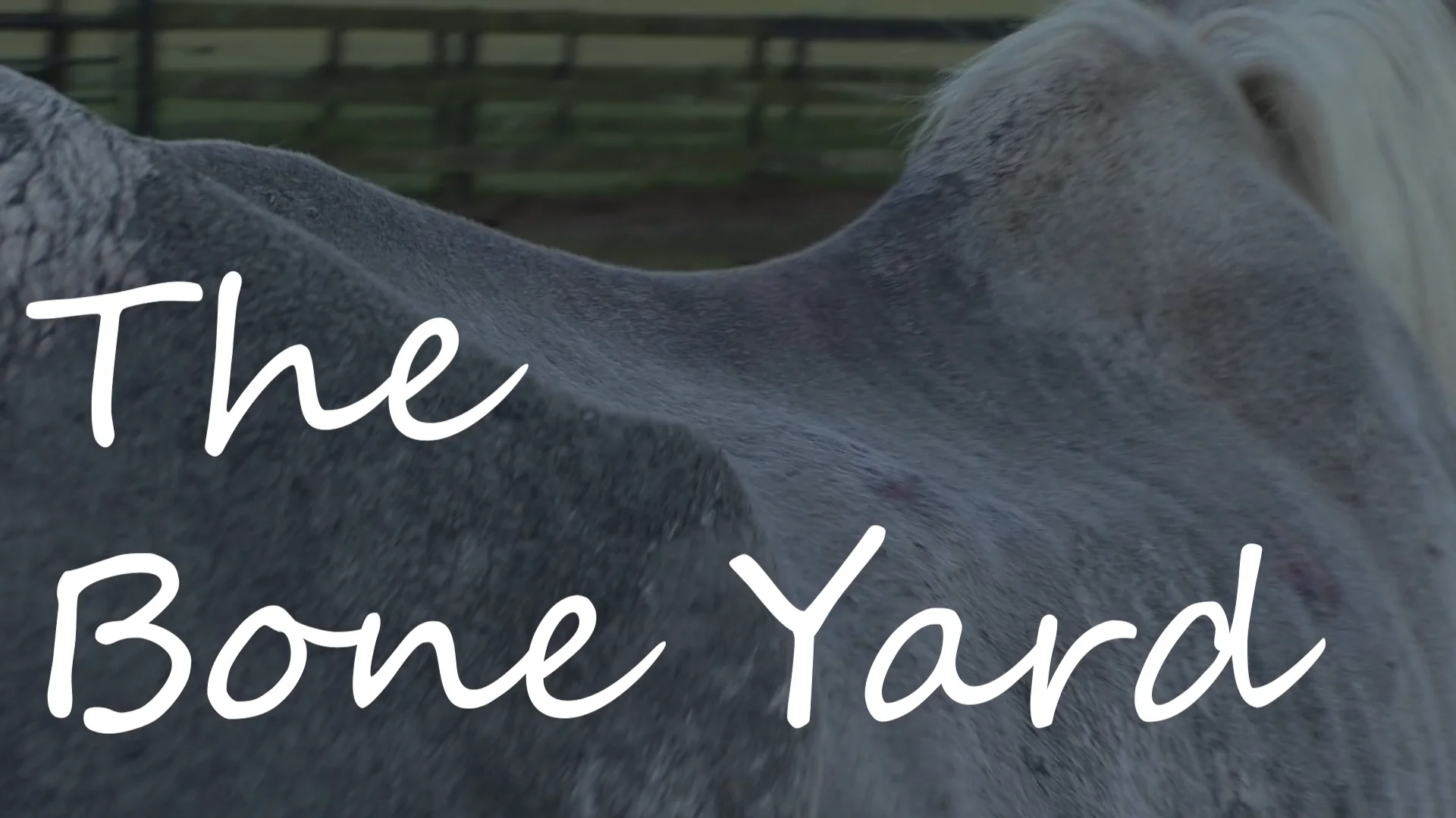 The Bone Yard Documentary Trailer on Vimeo
