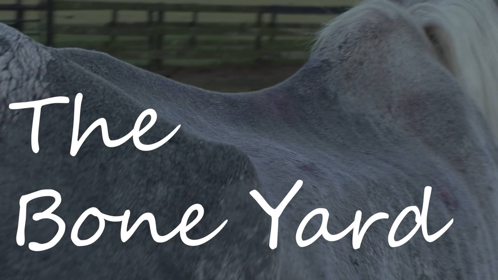 The Bone Yard Documentary Trailer on Vimeo