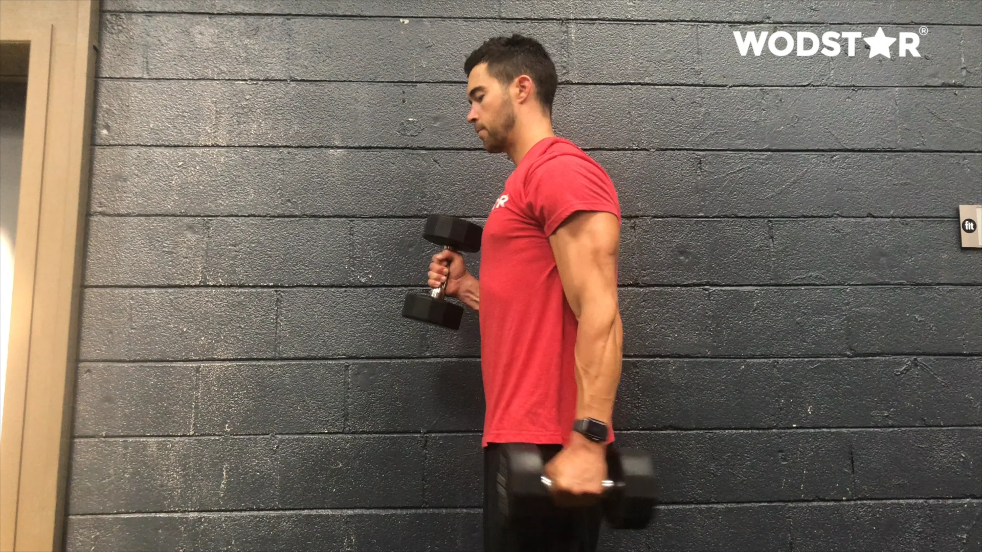 Hammer Curl With Hold on Vimeo