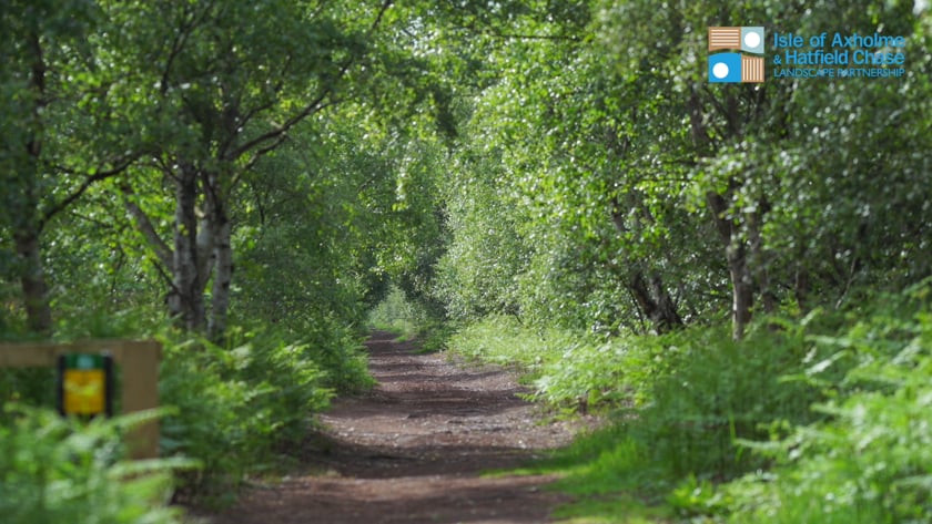 The Isle of Axholme - IOAHC