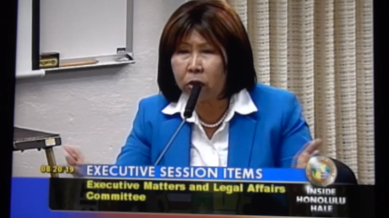 Choon James - HART REQUEST FOR LEGAL FEES on Vimeo