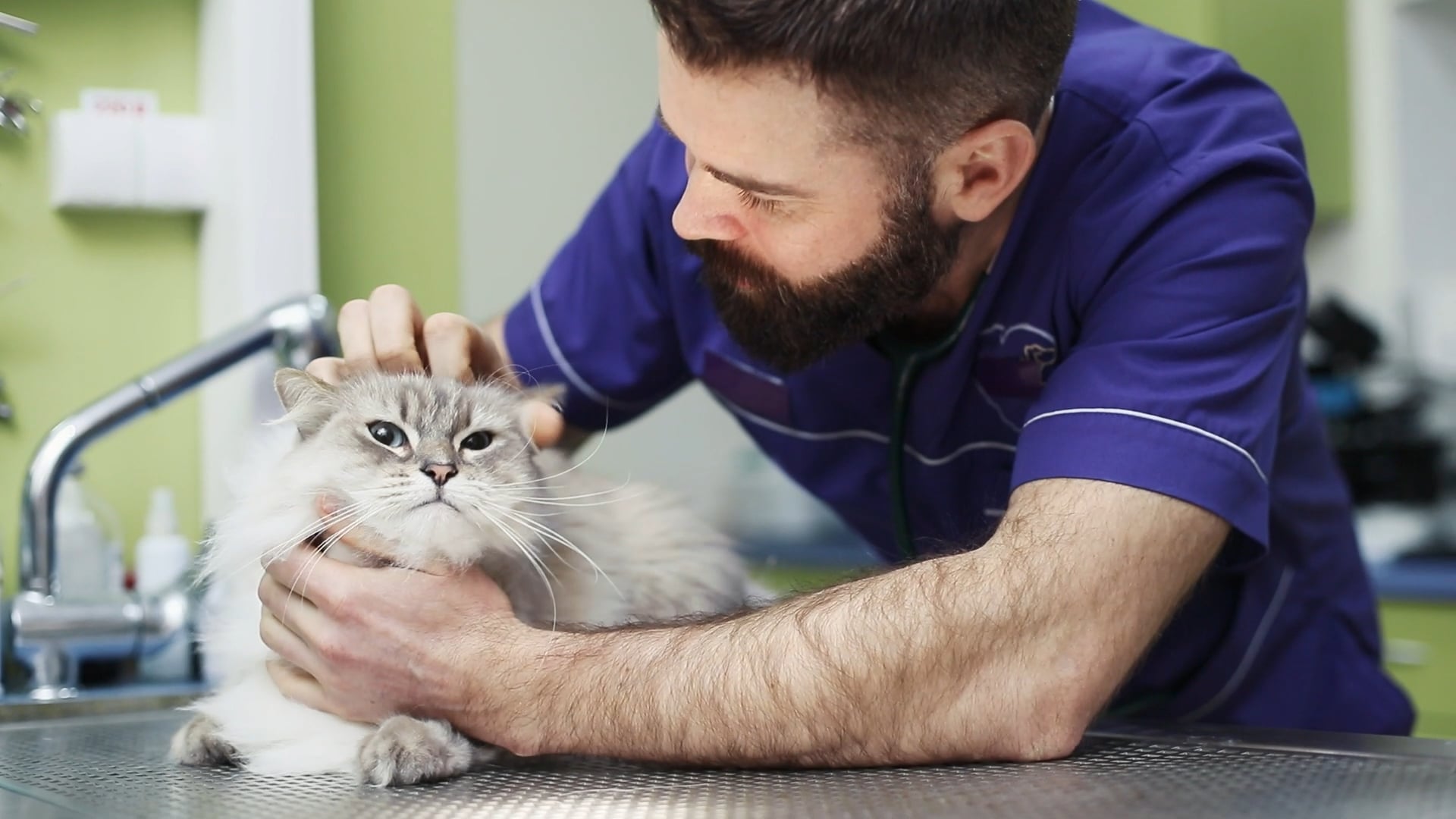 pH•notix™ - Rebalancing Ear Cleaner for Cats and Dogs on Vimeo