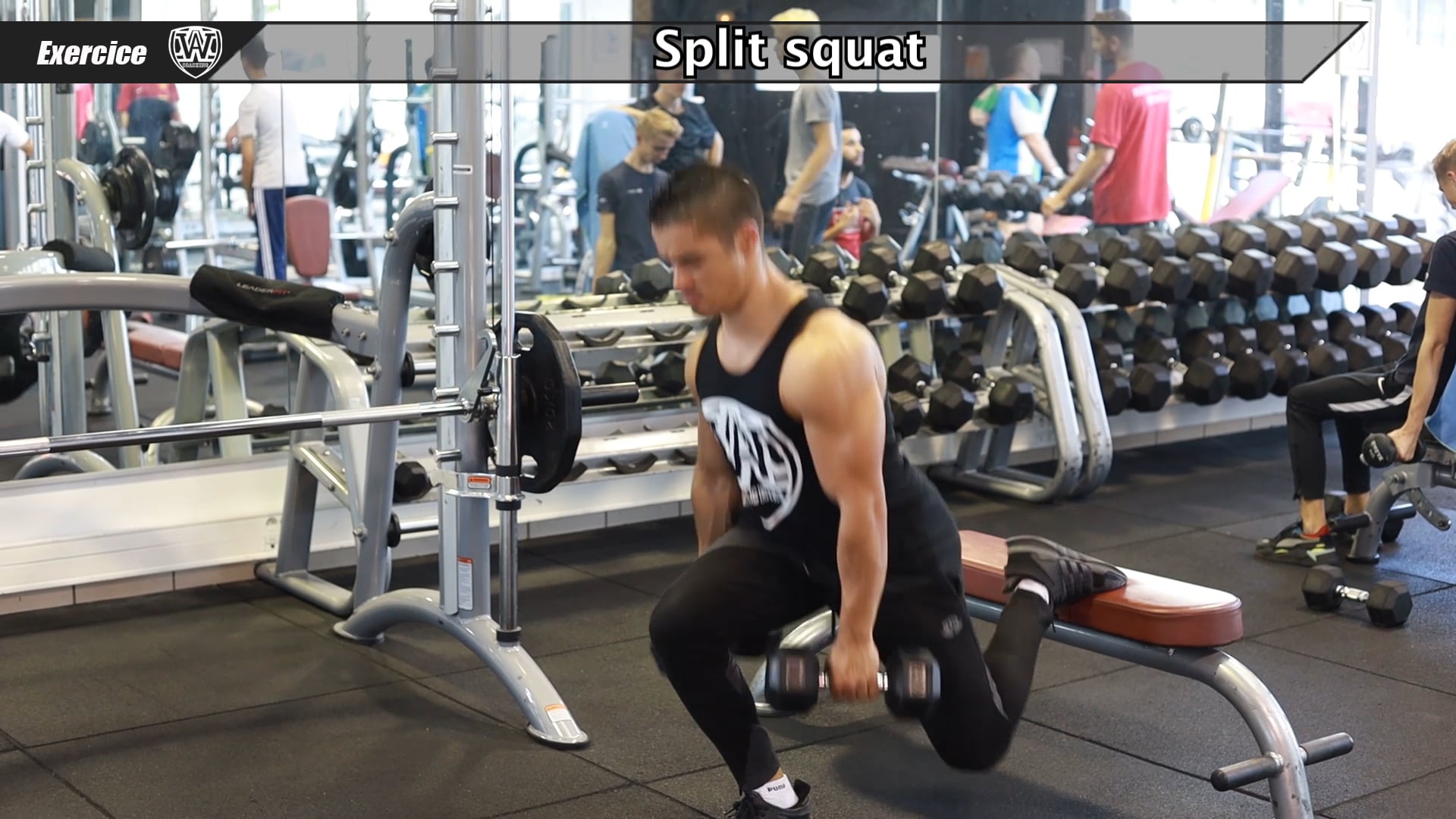 Split squat on Vimeo