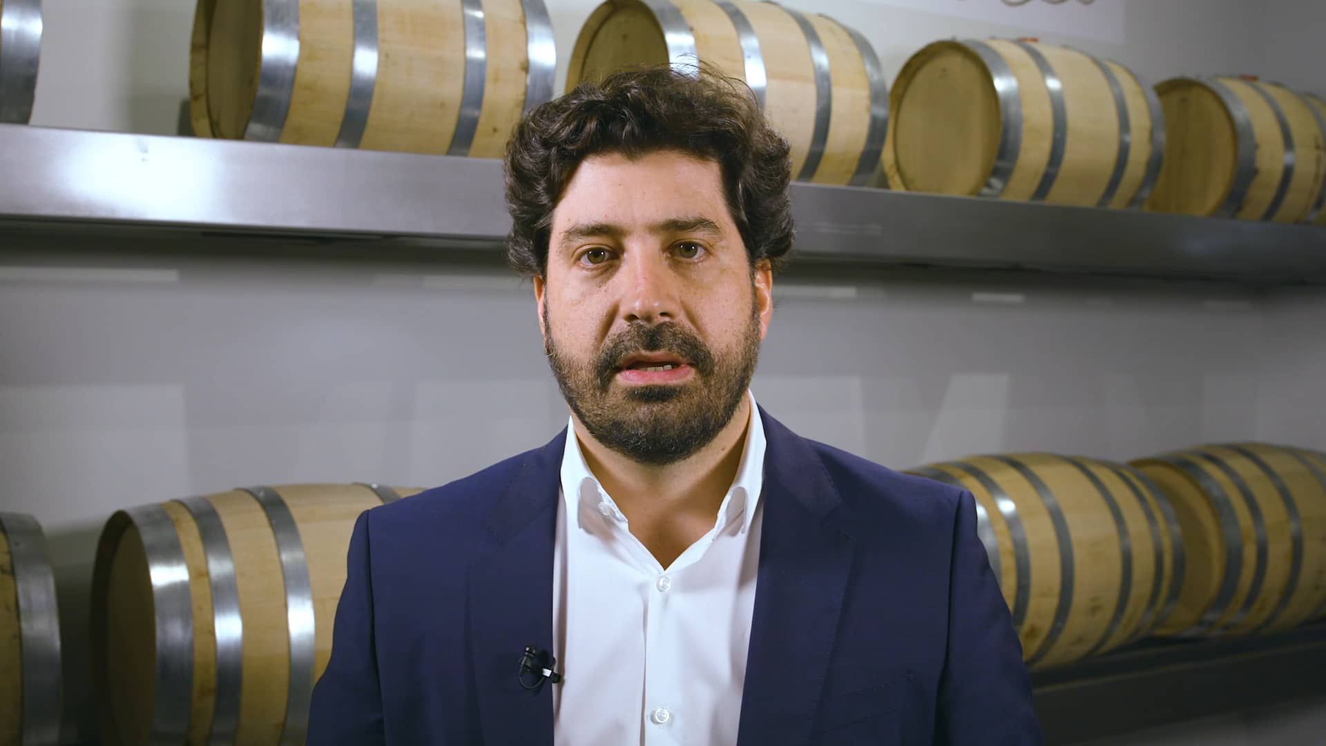 Marcel Marcondes CMO of Anheuser-Busch Supports #SeeALL on Vimeo