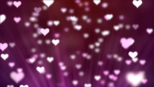 60+ Free Wedding Background & Wedding Videos, HD & 4K Clips - Pixabay