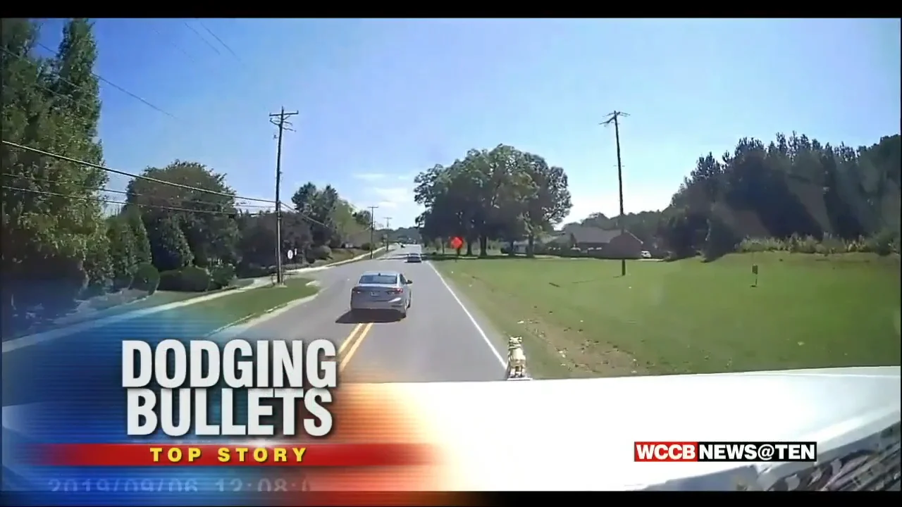 Alexandra Elich - Alex Elich "Driver Dodges Bullets" on Vimeo