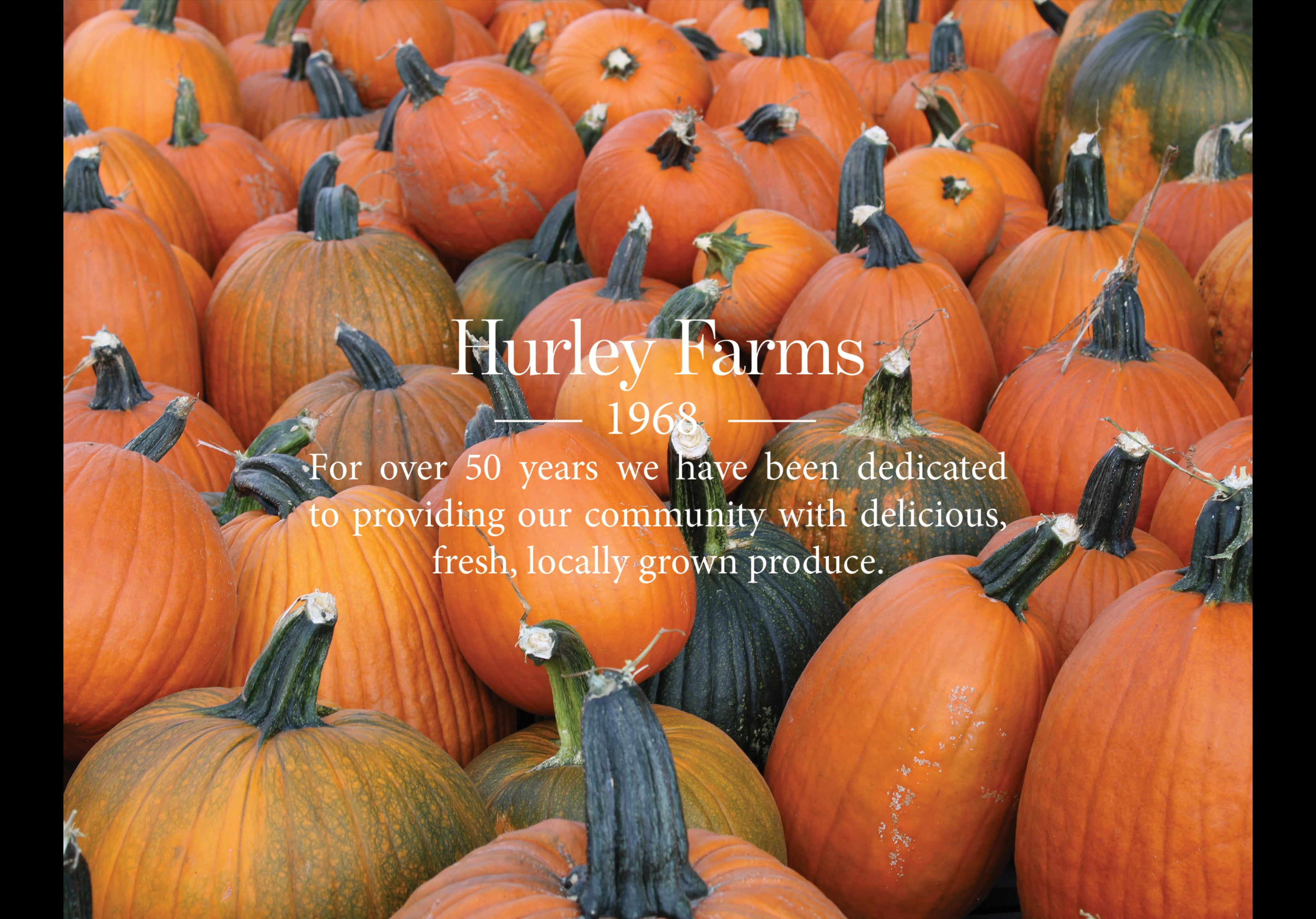 Hurley Farm Promo Vid on Vimeo