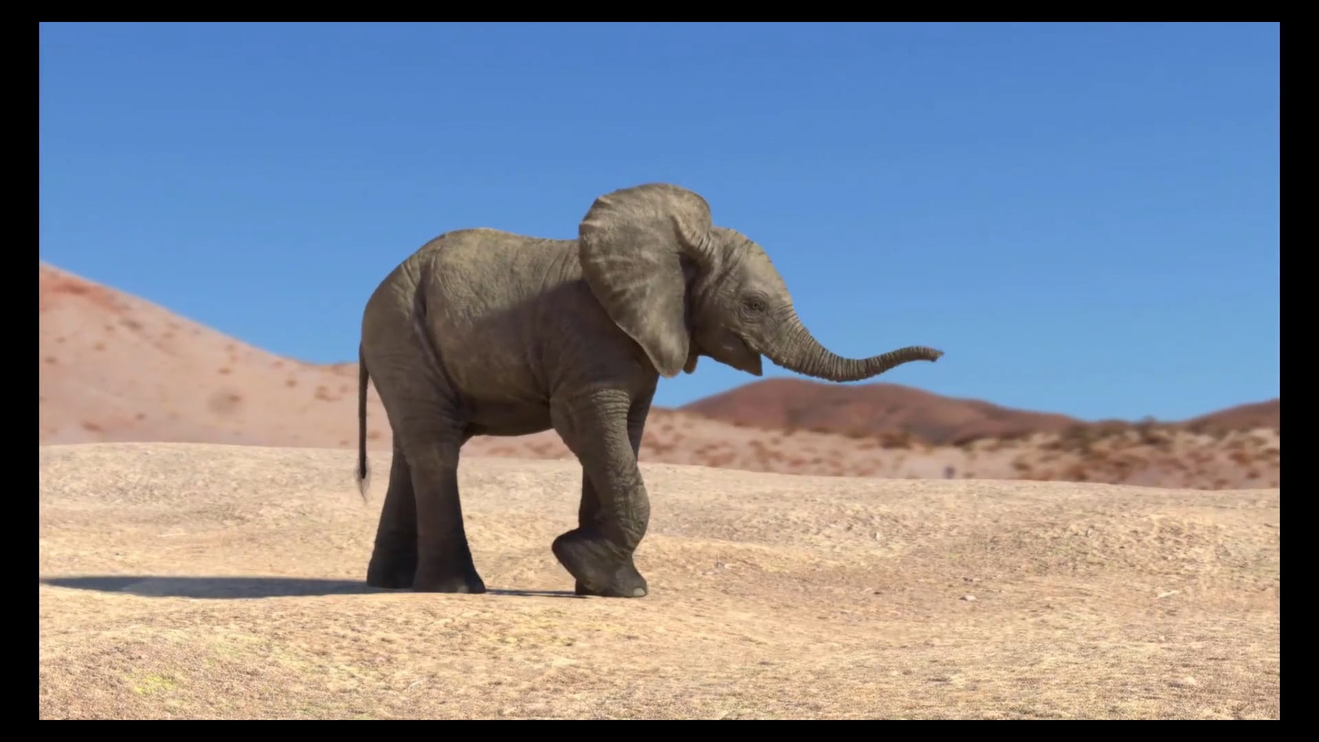 Home | Creature Rigs