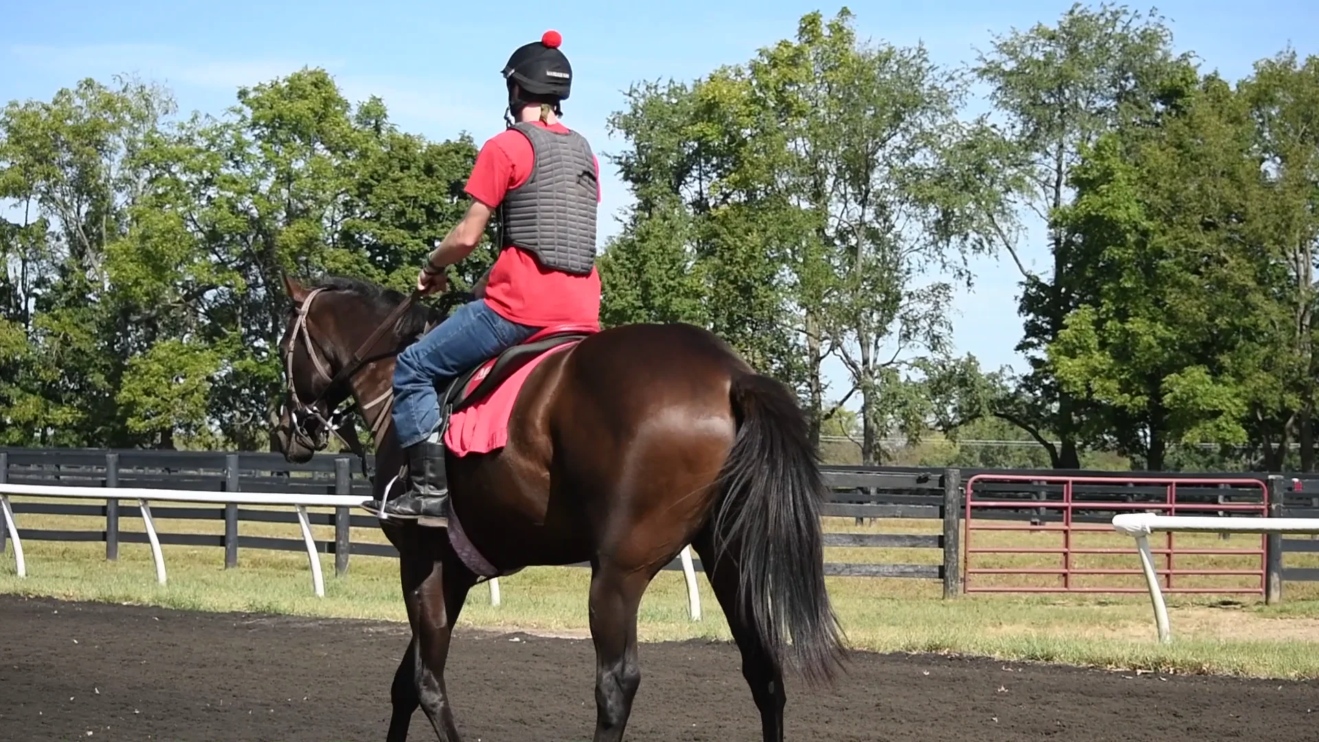 First Contact @ Margaux Farm on Vimeo