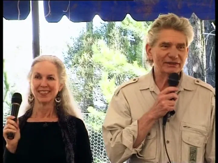 Watch The Voice Dialogue Video/Audio Series with Drs Hal & Sidra Stone ...