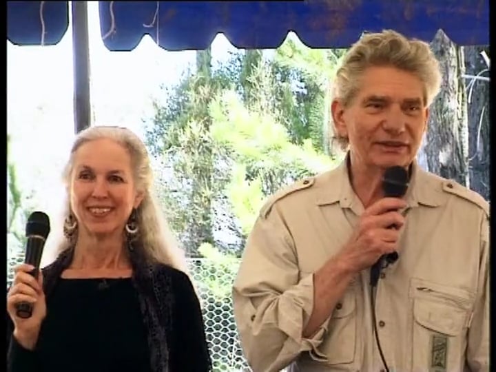 Watch The Voice Dialogue Video/Audio Series with Drs Hal & Sidra Stone ...
