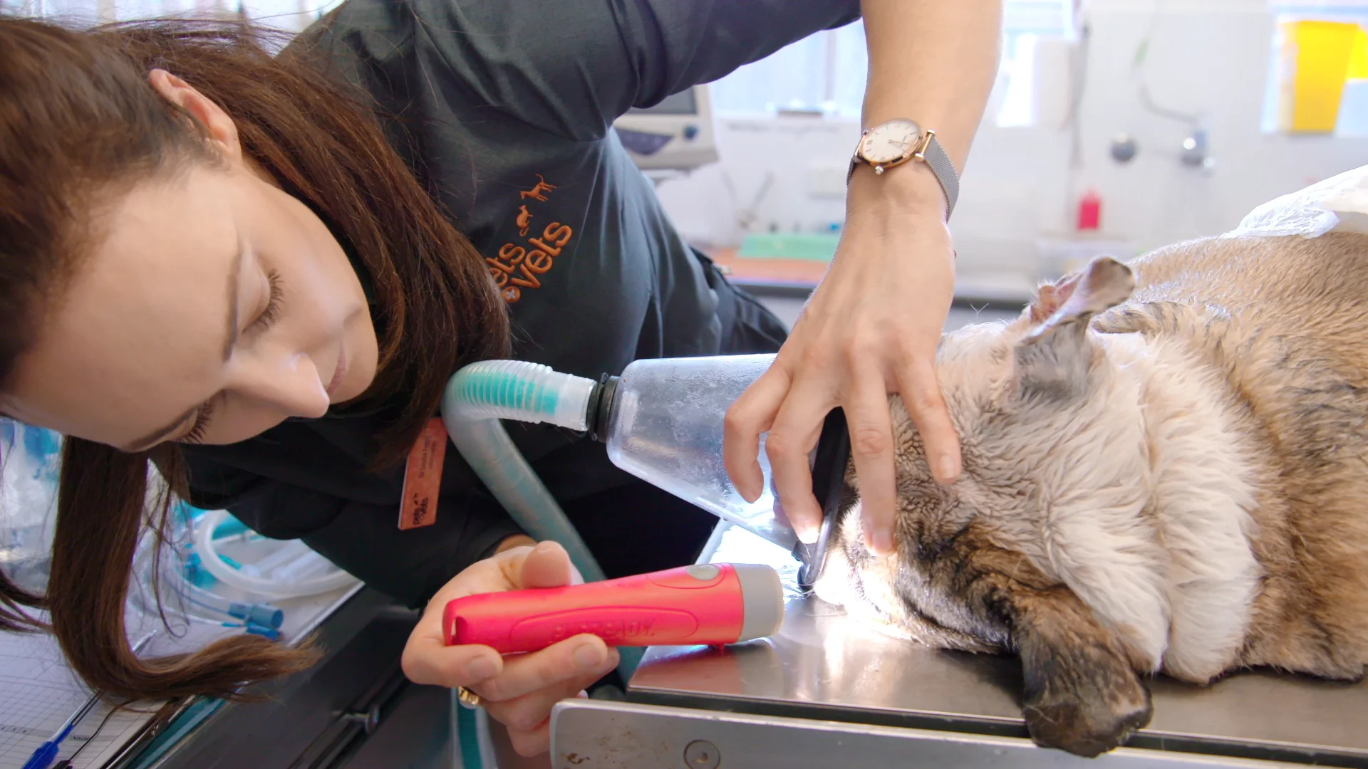 Outback Vet - Sizzle on Vimeo