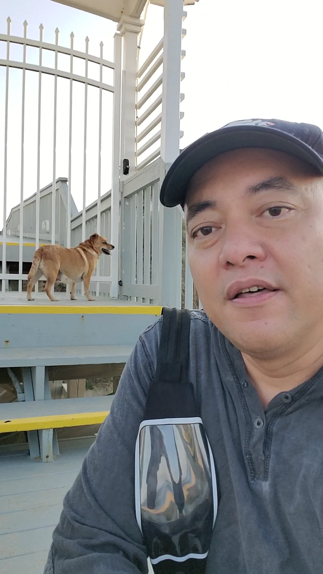 Human Swarm. Book Analysis and Review on Vimeo