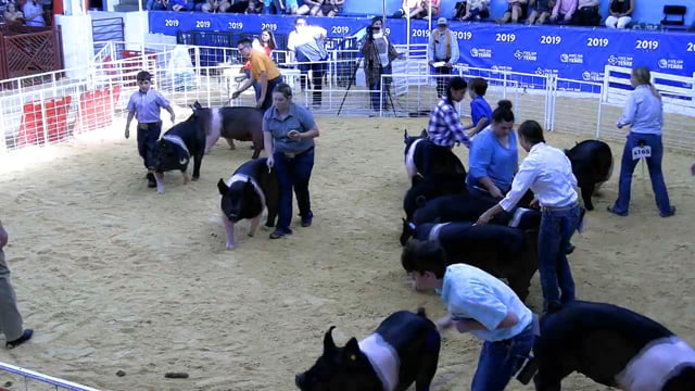 2019 State Fair of Texas Livestock Shows on Vimeo