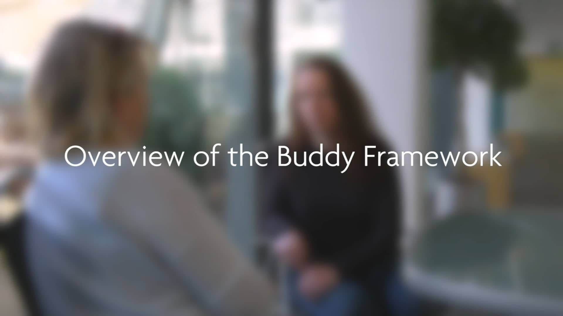 RRHEAL - Overview of the Buddy Framework on Vimeo