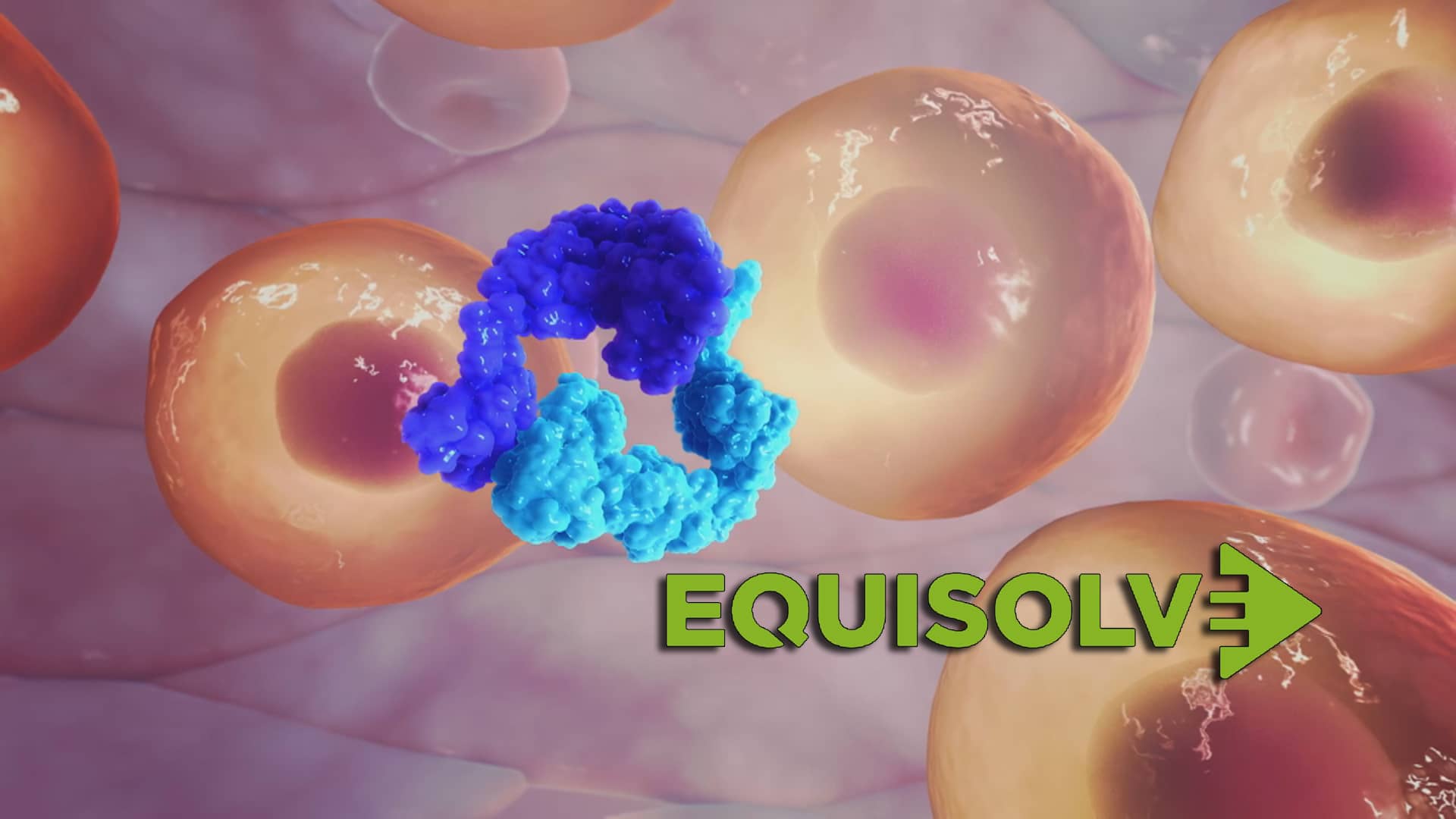 Medical Animation Studios | Medical Device Animation | Medical ...