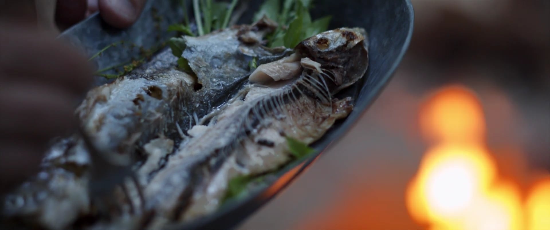 TIME IS BUT THE STREAM: A Spring Fly Fishing Tale on Vimeo