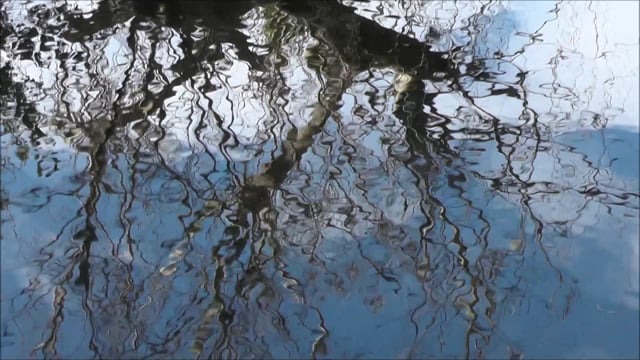 Water, Reflection, Ripple. Free Stock Video - Pixabay