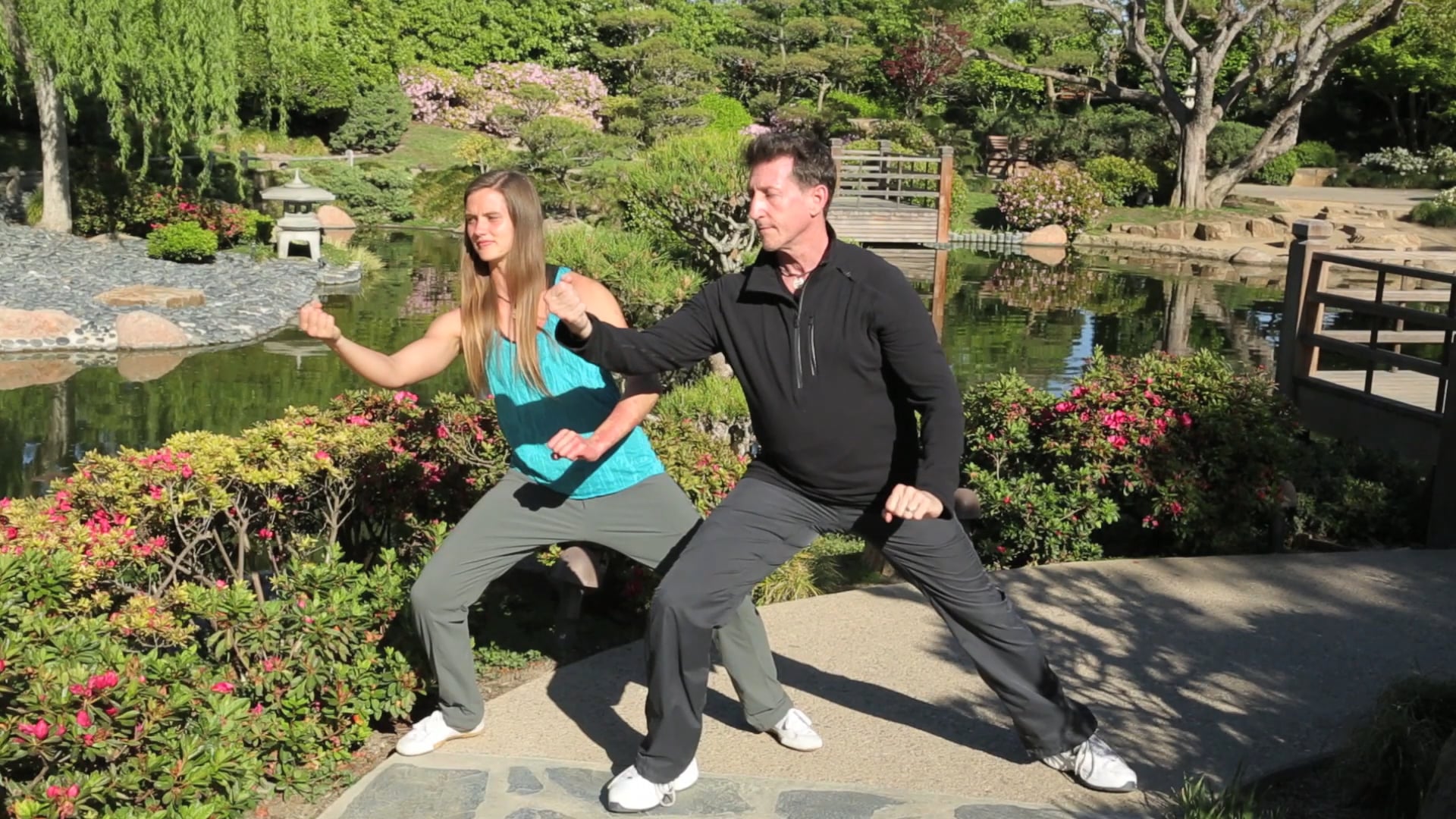 Watch Tai Chi Fit STRENGTH by David-Dorian Ross Online | Vimeo On ...