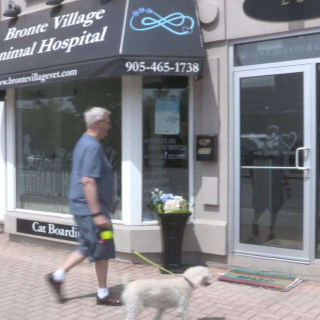 Bronte B.I.A. Video Samples on Vimeo