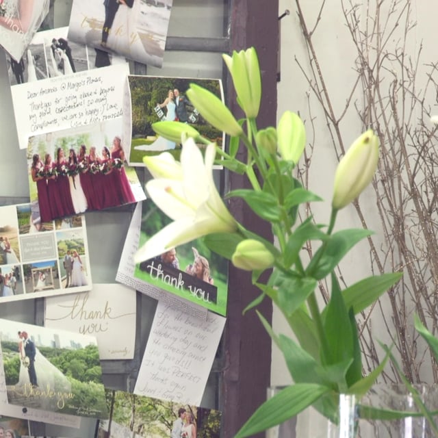 Bronte B.I.A. Video Samples on Vimeo