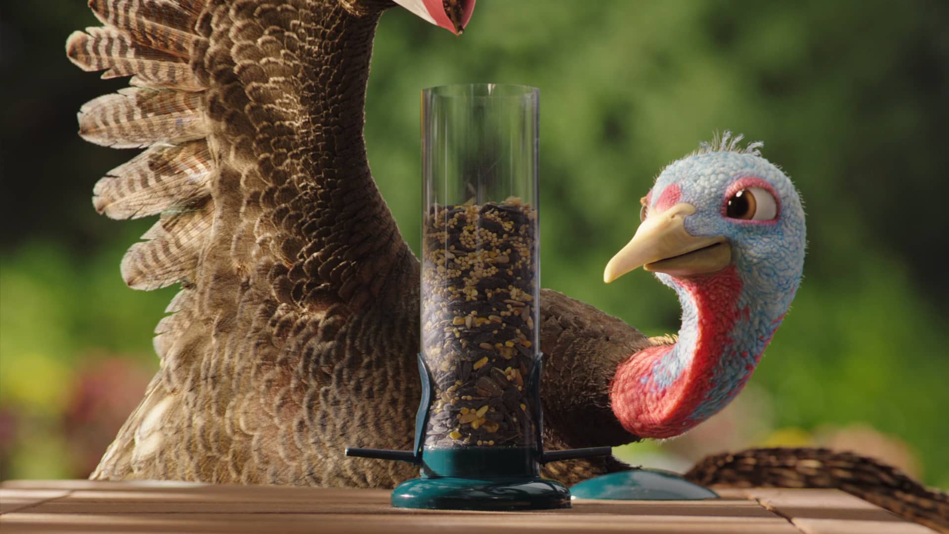 Chantix Slow Turkey Launch on Vimeo