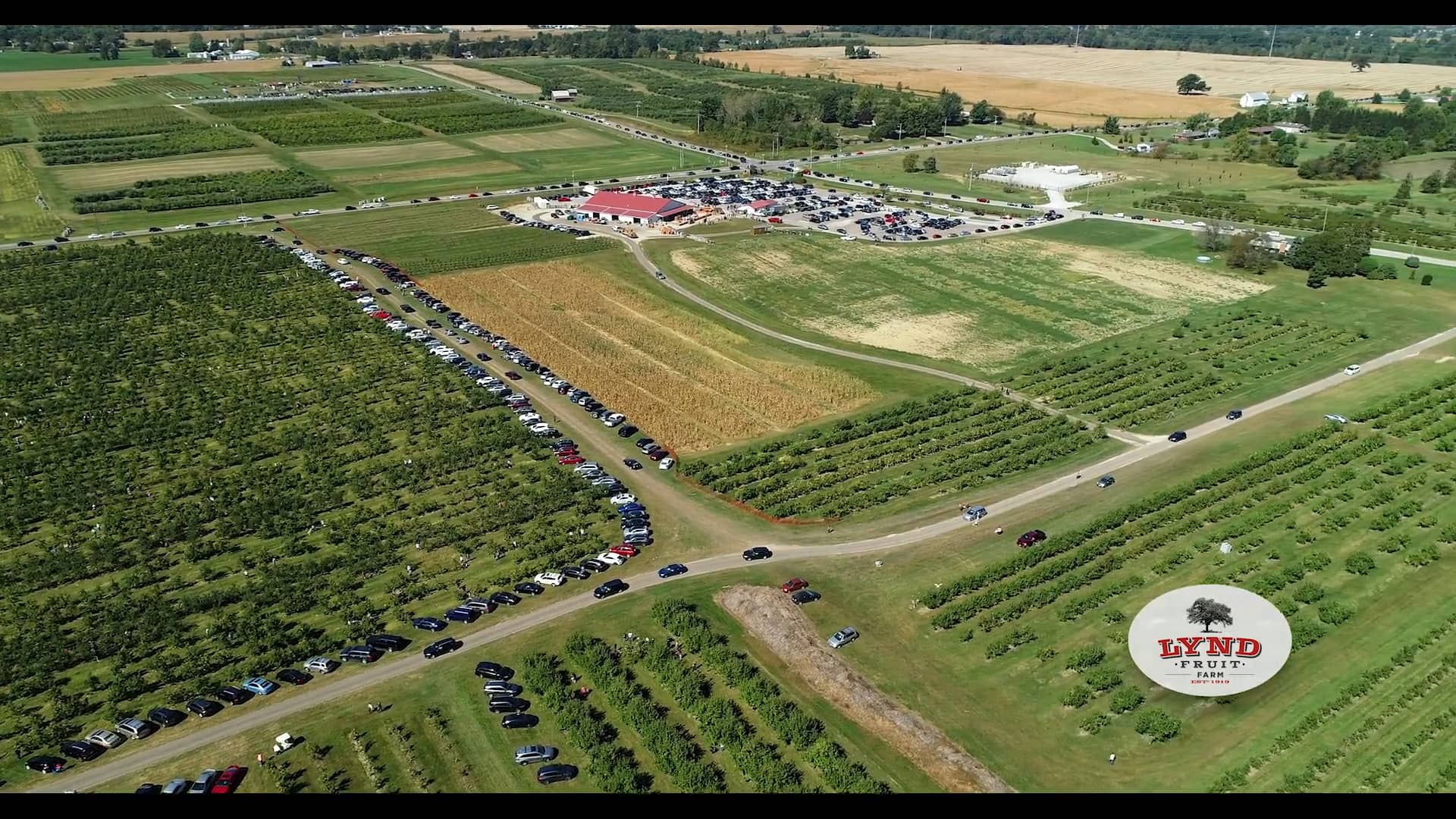 Lynd Fruit Farm - Apple Picking on Vimeo