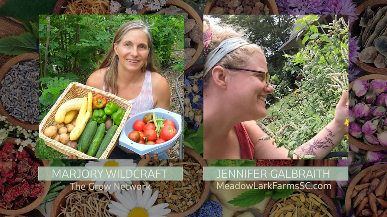Jennifer Galbraith - Heart-Healthy Herbs For Circulation on Vimeo