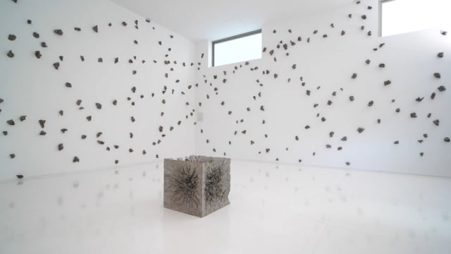 Shigeo TOYA – ShugoArts